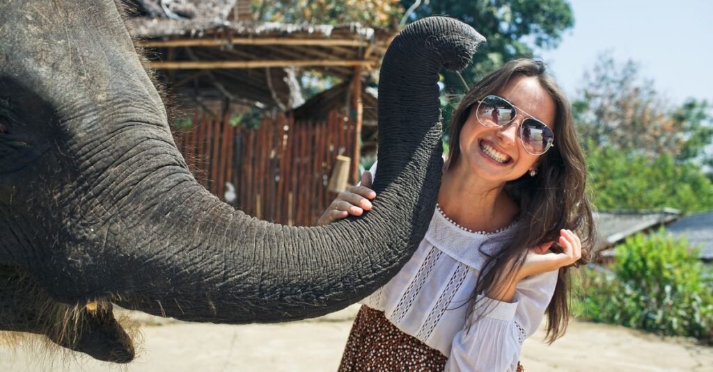 How are Elephants Transported