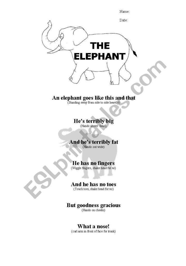 How Much Does Elephant Poop Weigh