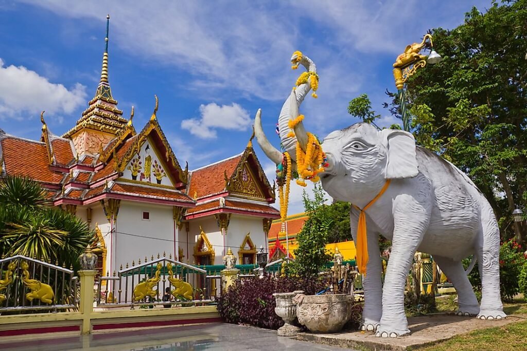 Which Labeled Location is the Place Where More Elephants